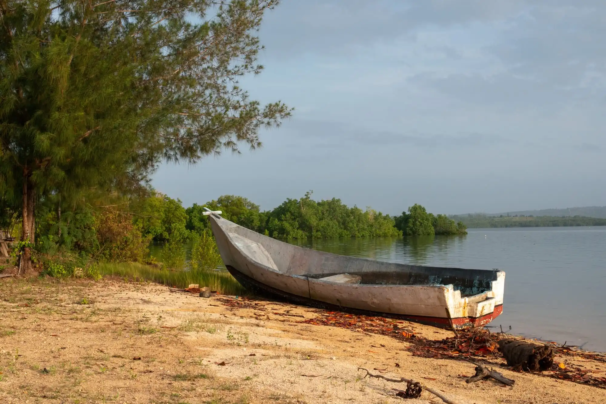 Prizes · Andrew Conner