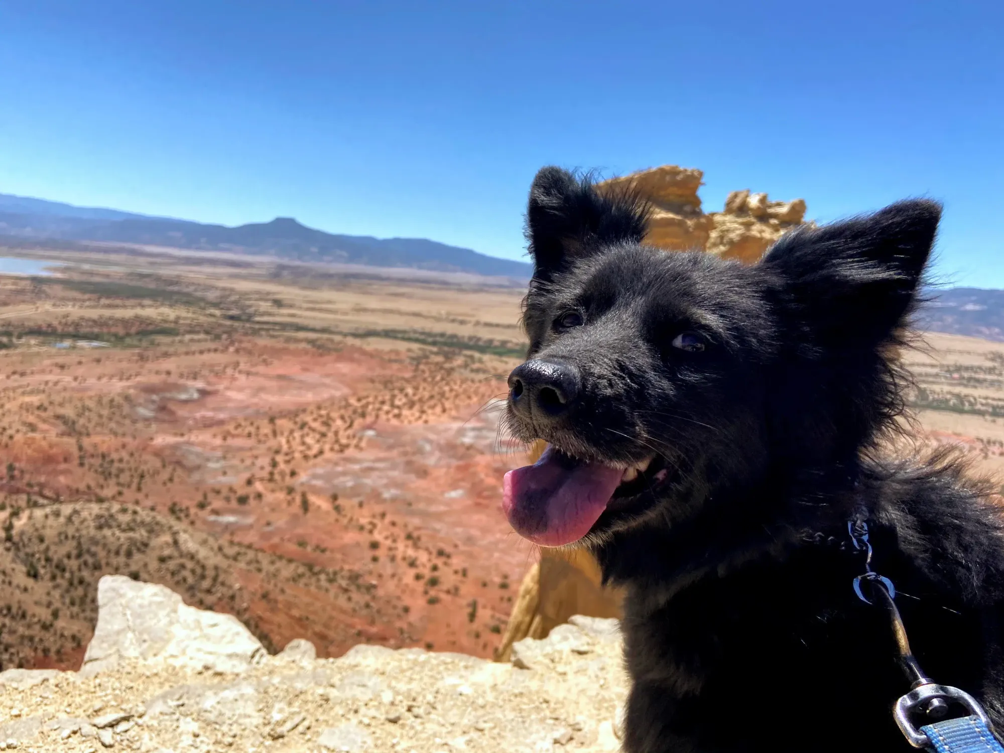 Grief · Andrew Conner